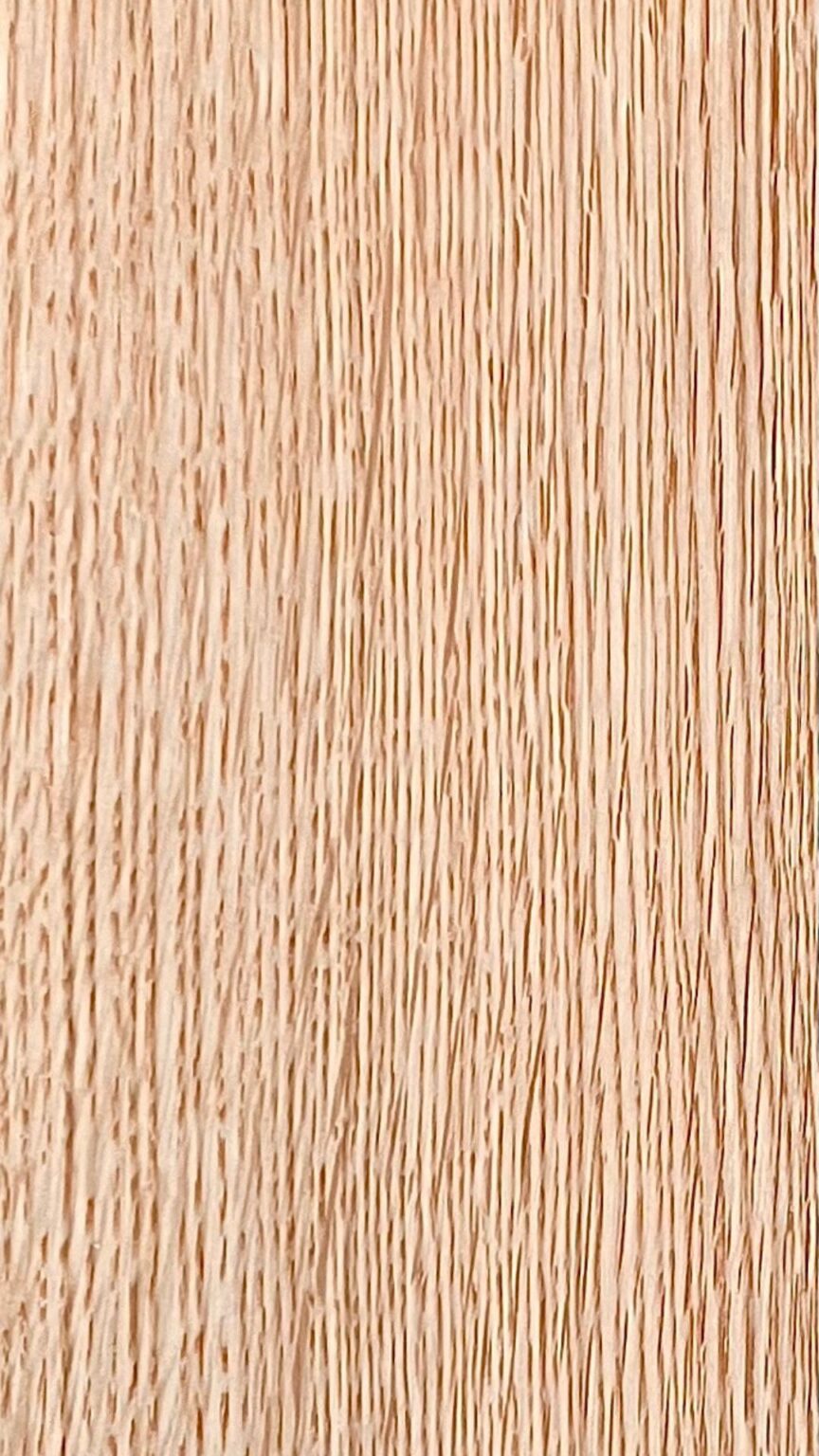 Roble Rayado – Chapillas Pamela